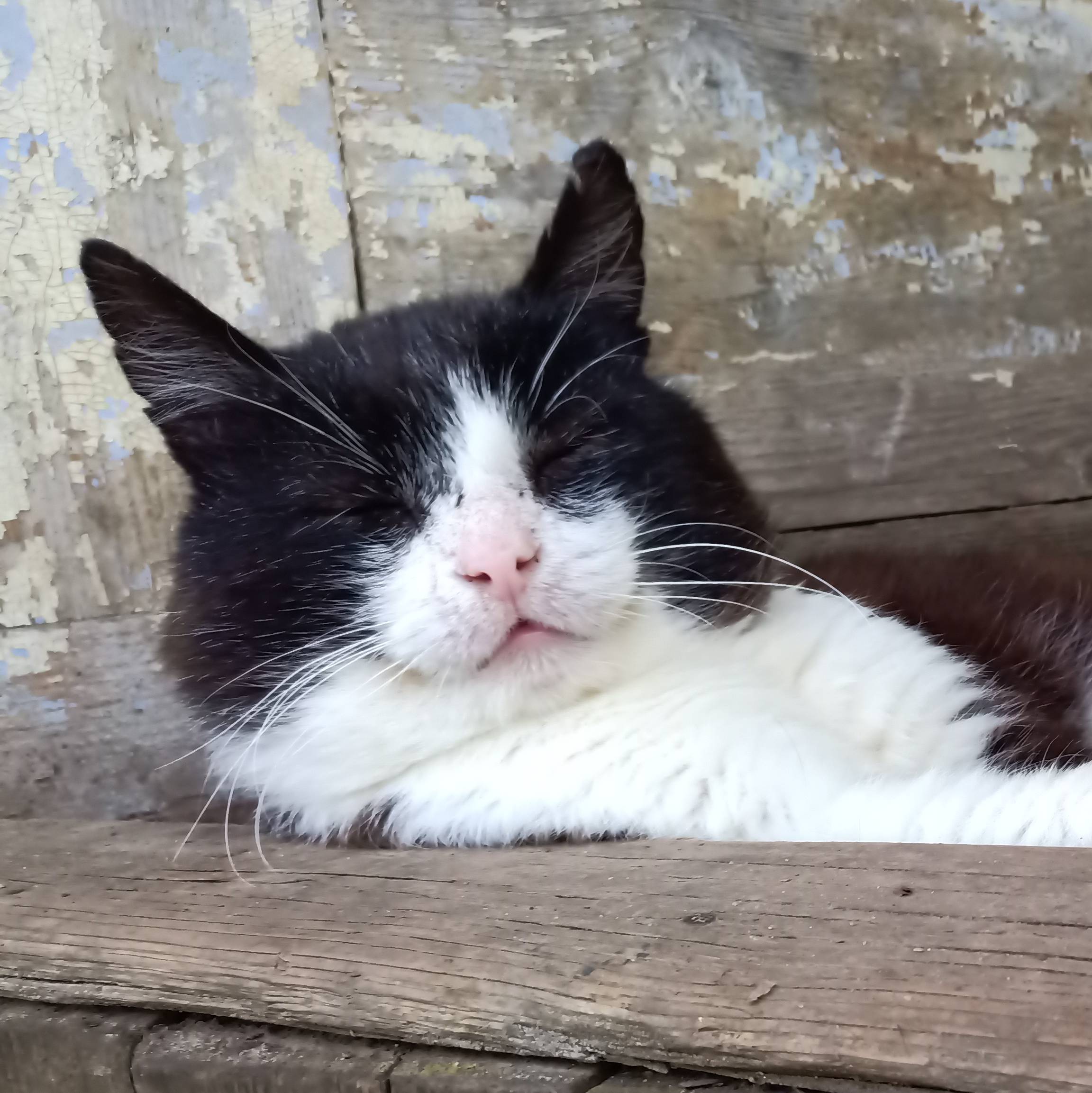 Иконка канала Гриша Энергетик