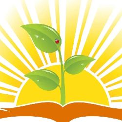 Иконка канала rostok2024