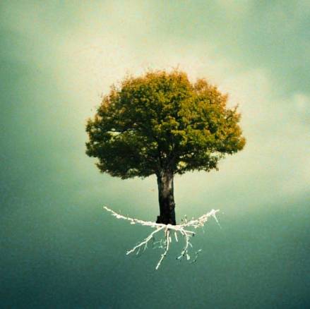 Иконка канала (Каратэ) и (Спорт)