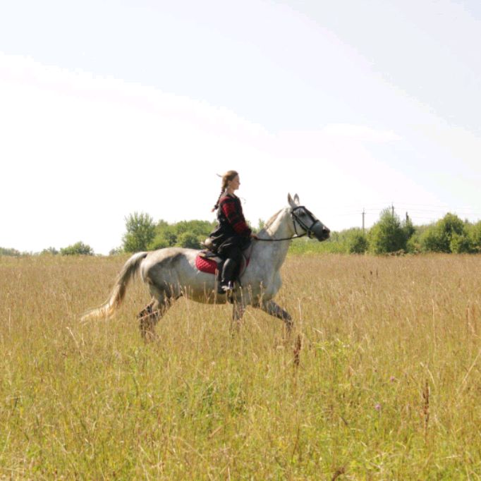 Иконка канала FROZENMOON