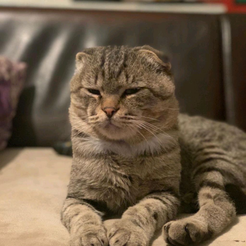 Иконка канала Пати Берх