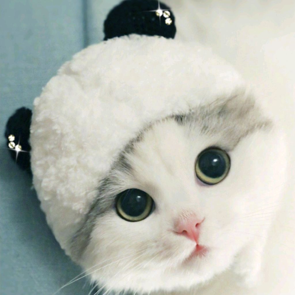 Иконка канала AlexeyMurom