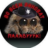 Иконка канала Во всём виноват ПАВУК !!!