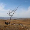 Иконка канала VeloYarsk (ВелоЯрск)