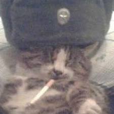 Иконка канала Димка(из Пскова)