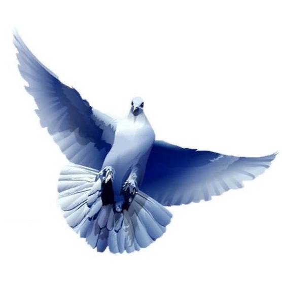 Иконка канала Февралина