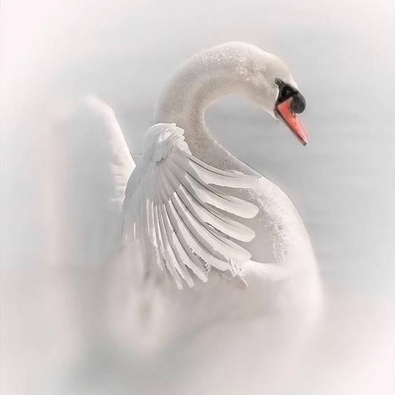 Иконка канала ***