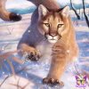 Иконка канала OK-CAHA-1606