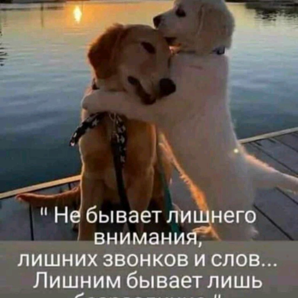 Иконка канала Lisa Lafa