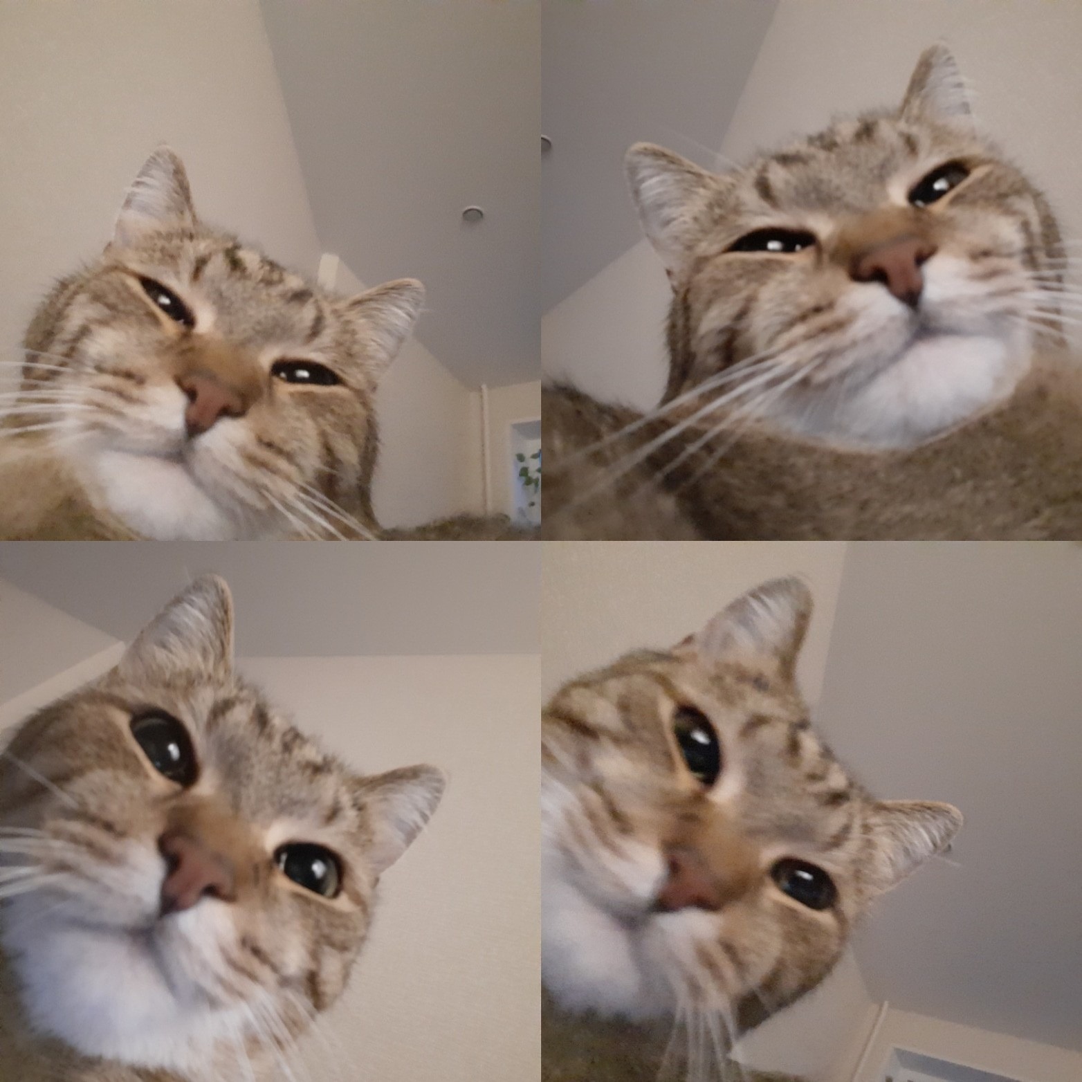 Иконка канала Фаст Фуд