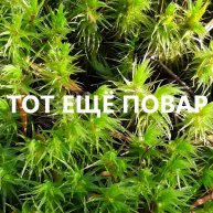 Иконка канала ТОТ ЕЩЁ ПОВАР