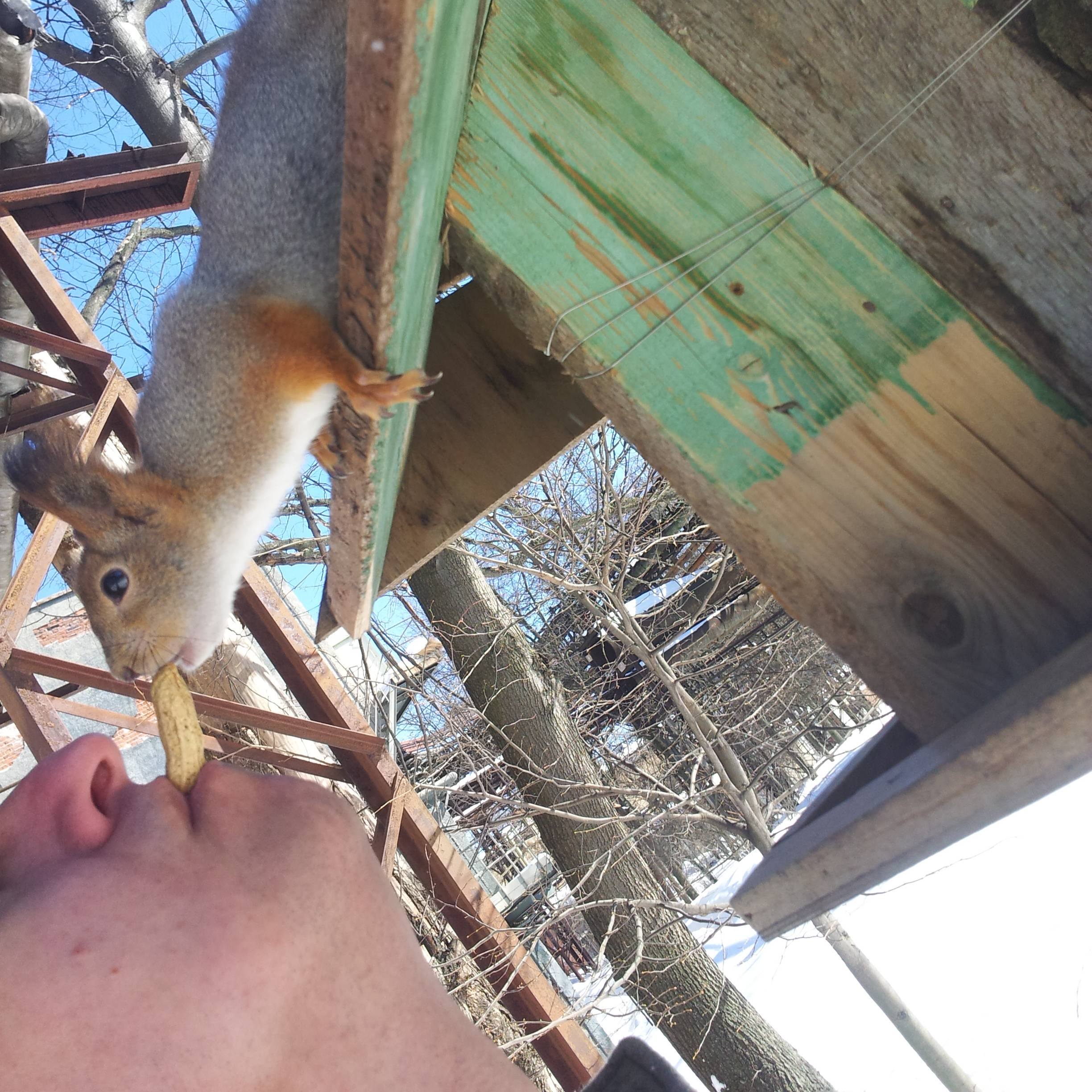 Иконка канала Sergey Dobrow