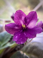 Иконка канала OlgaKolechko 🫶🏻