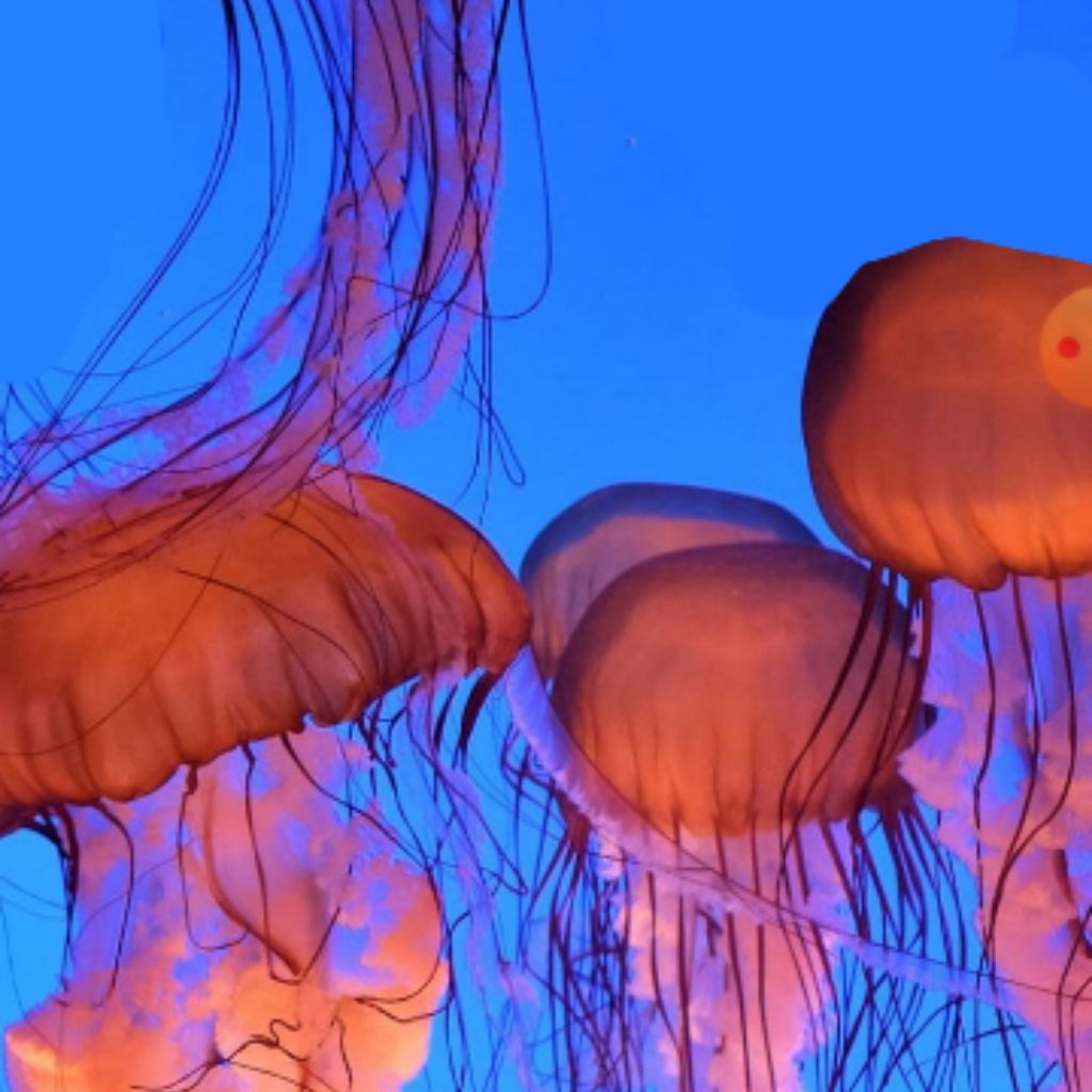 Иконка канала Программирование и техника