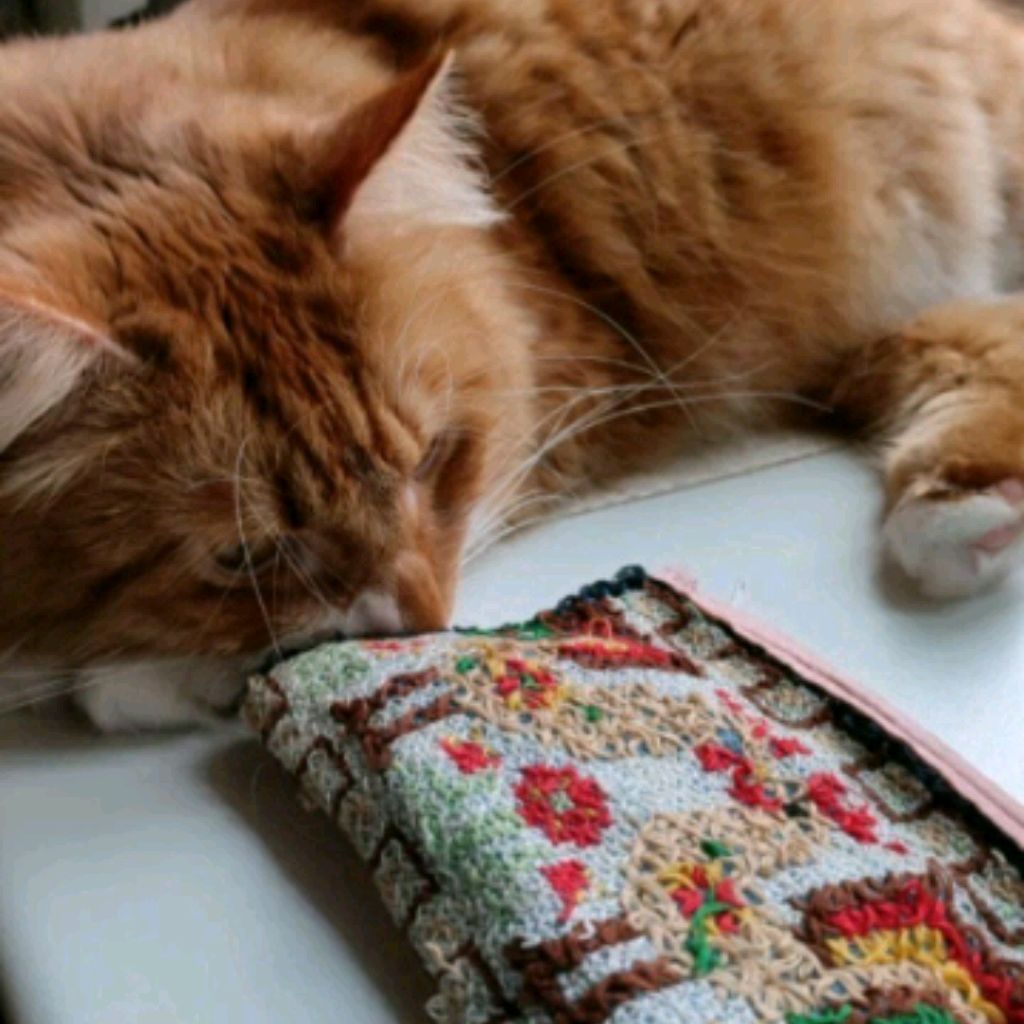 Иконка канала Котёнок Василич