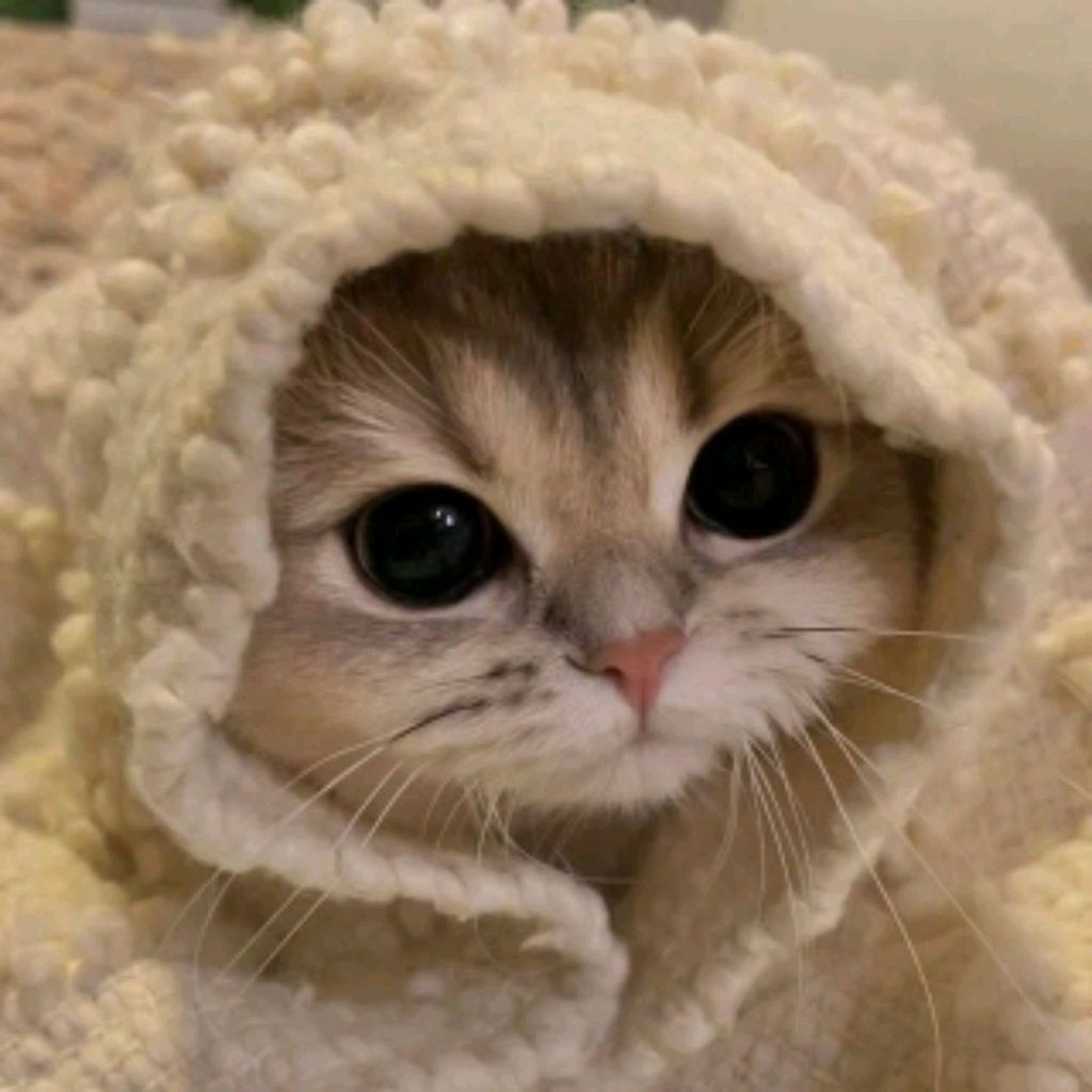 Иконка канала Лëшка?