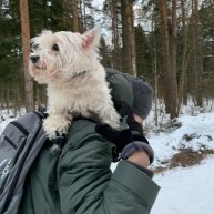 Иконка канала Дегустационный Зал