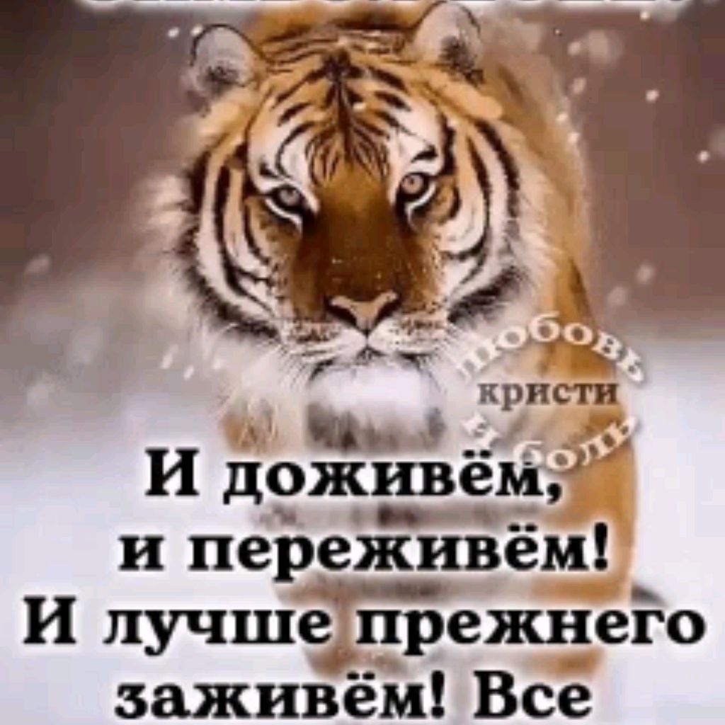 Иконка канала ALEX OPEN