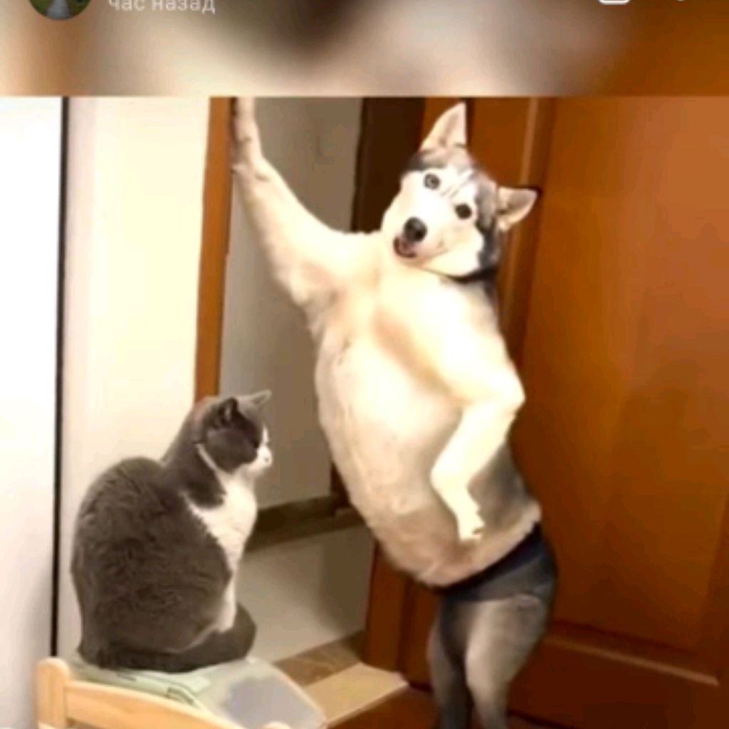 Иконка канала Первый