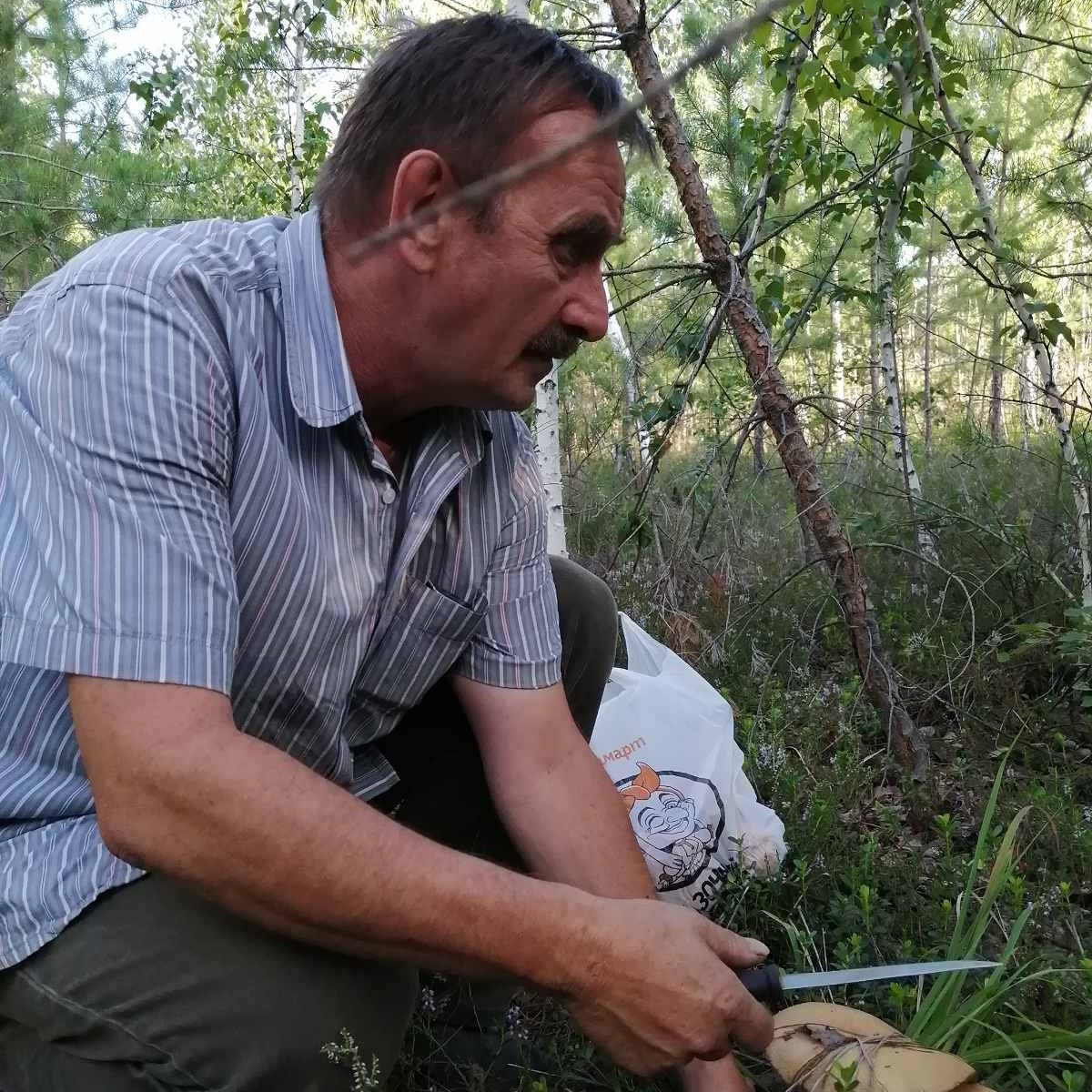 Иконка канала Алексей Артемьев