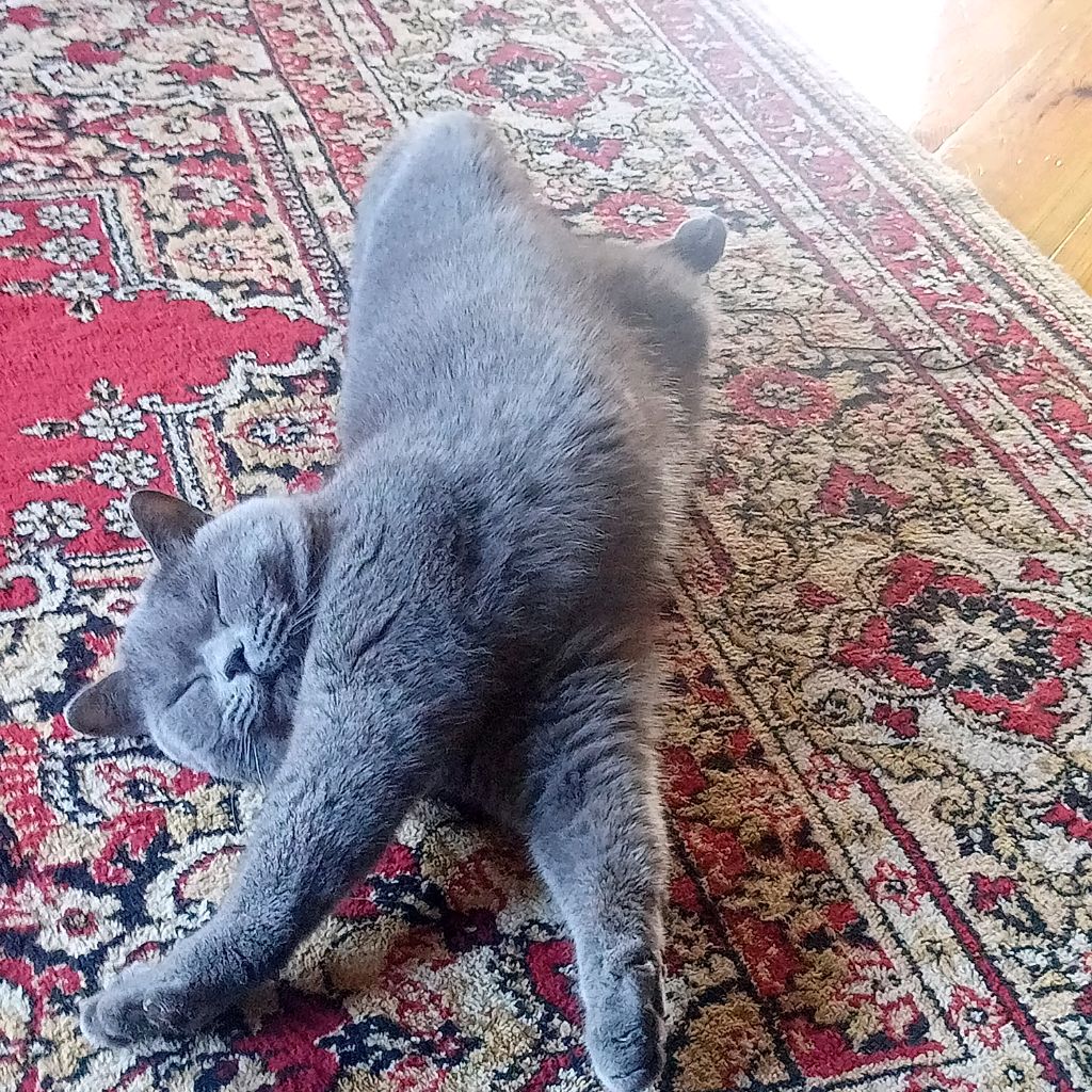 Иконка канала Lev game