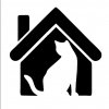 Иконка канала CATMASTER - Домики, когтеточки и DIY