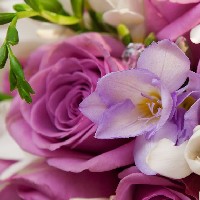 Иконка канала Liusinda