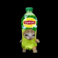 Иконка канала Lipton_trends