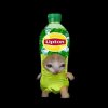 Иконка канала Lipton_trends