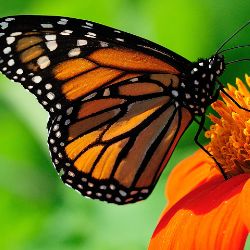 Иконка канала Будни с Людмилой