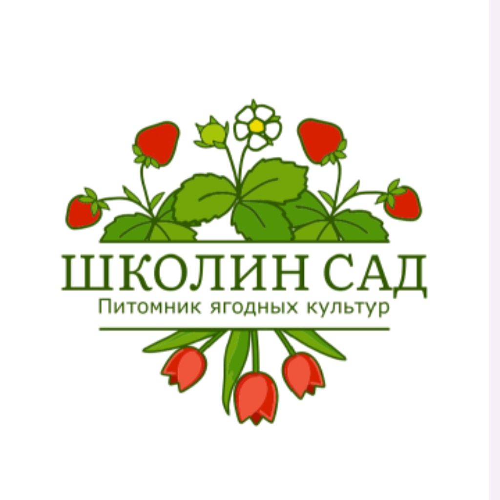 Иконка канала Школин сад