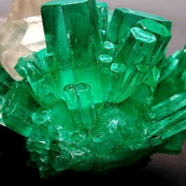 Иконка канала САМОЦВЕТЫ НА КУЗНЕЦКОМ