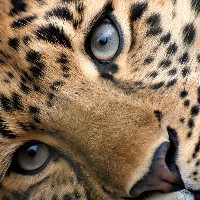 Иконка канала rutube_account_2912370