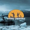 Иконка канала ЖИЗНЬ СИБИРЯКА