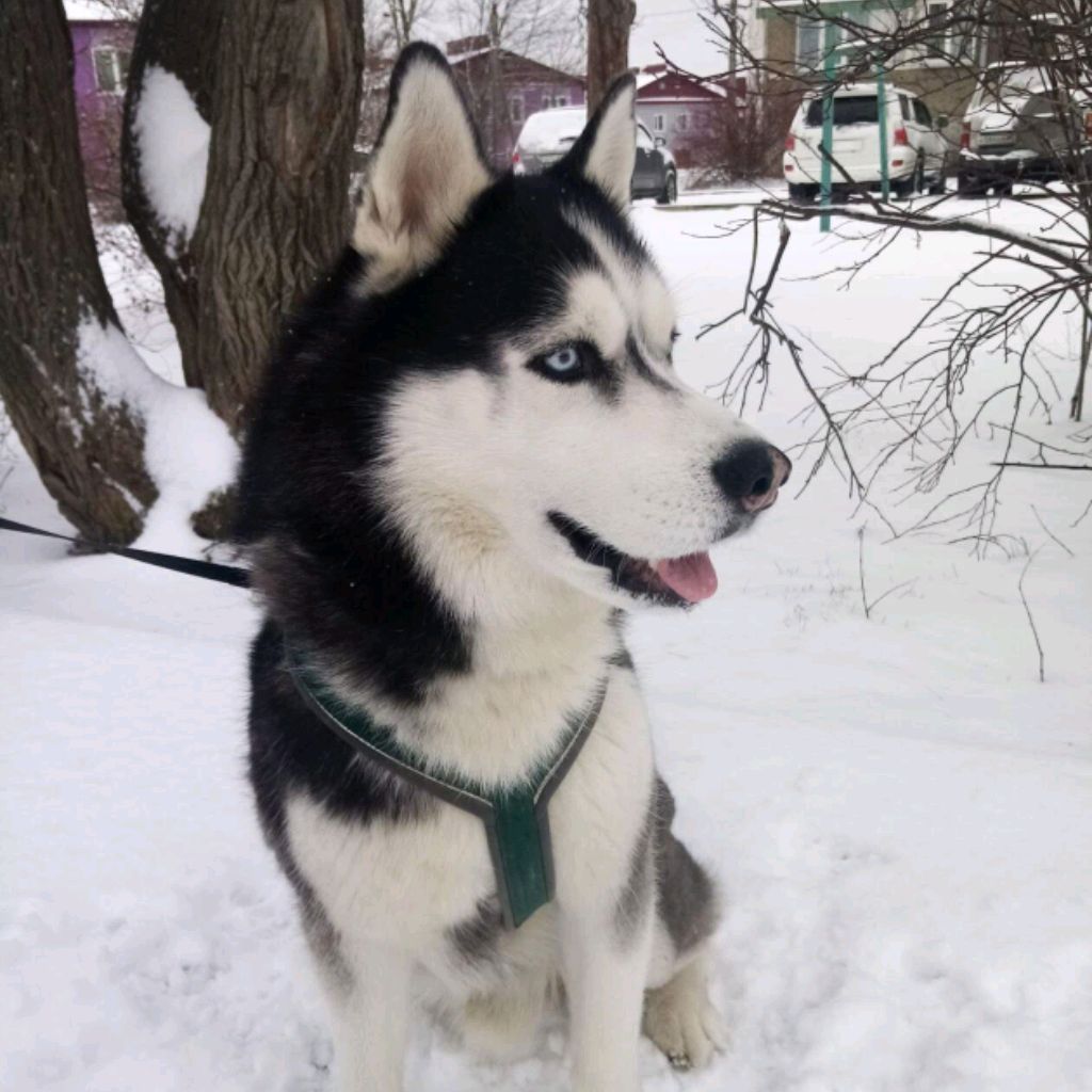 Иконка канала Богат Душой!!!