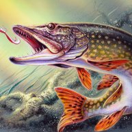 Иконка канала оскал щуки