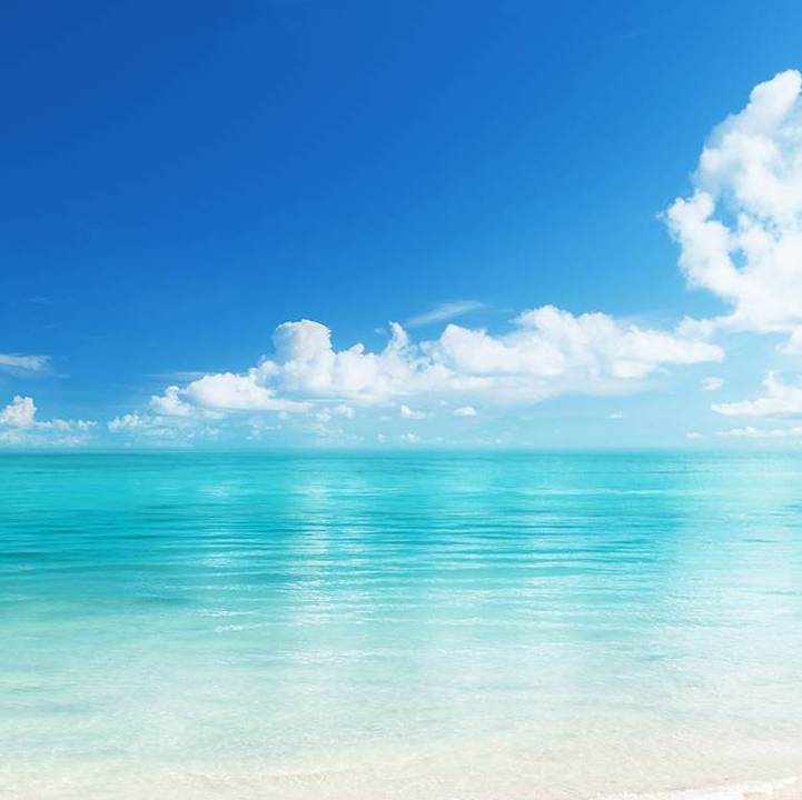 Иконка канала sunny bunny