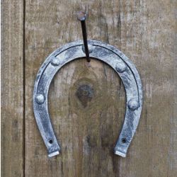 Иконка канала Udacha_MT