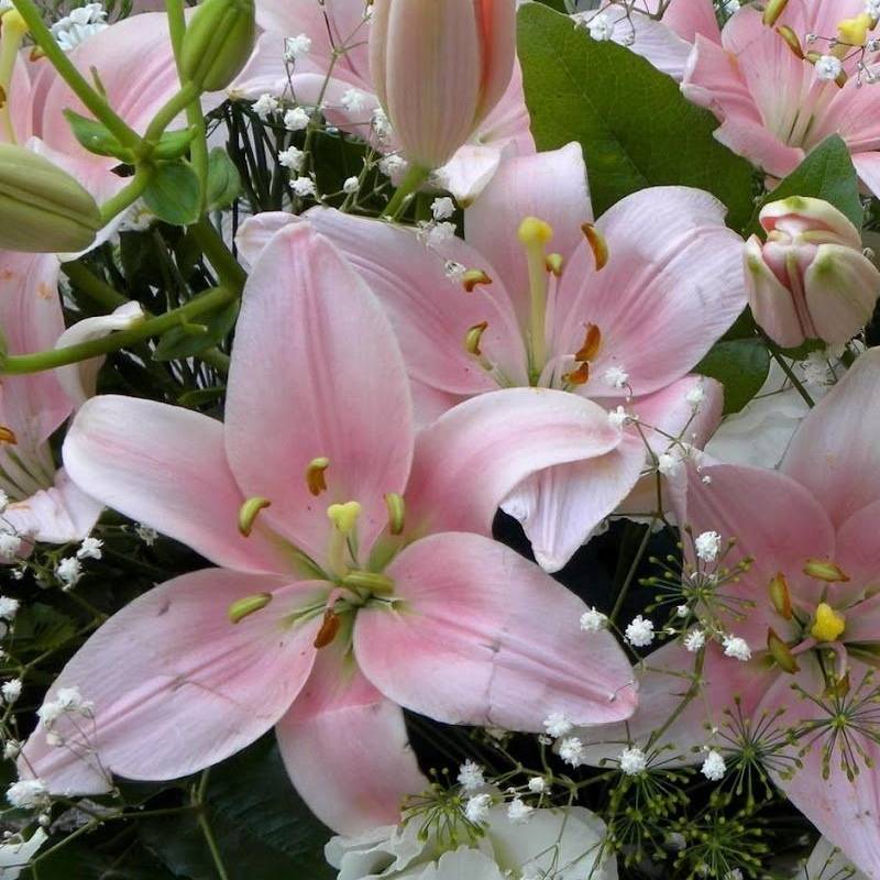 Иконка канала Наталья Владимировна