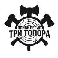 Иконка канала Три Топора Привилегия