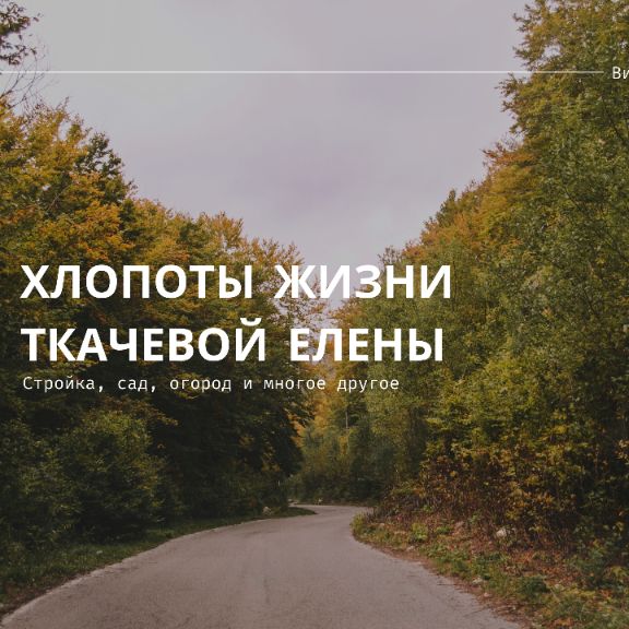 Иконка канала Хлопоты жизни Елены Ткачевой