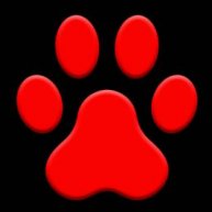 Иконка канала Кутята.рф - Все о собаках