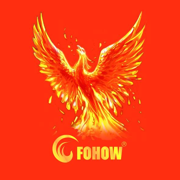 Иконка канала Fohow.cc