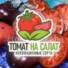 Иконка канала Tomat nasalat