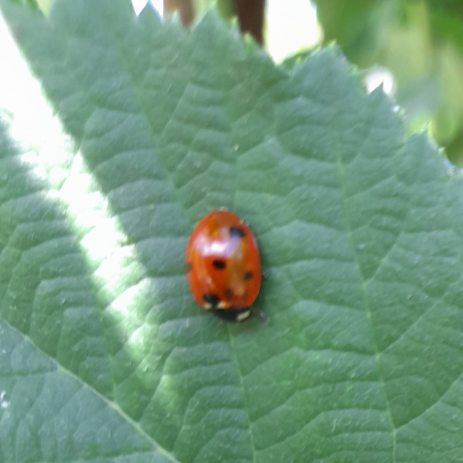 Иконка канала Обо всём интересном понемногу.