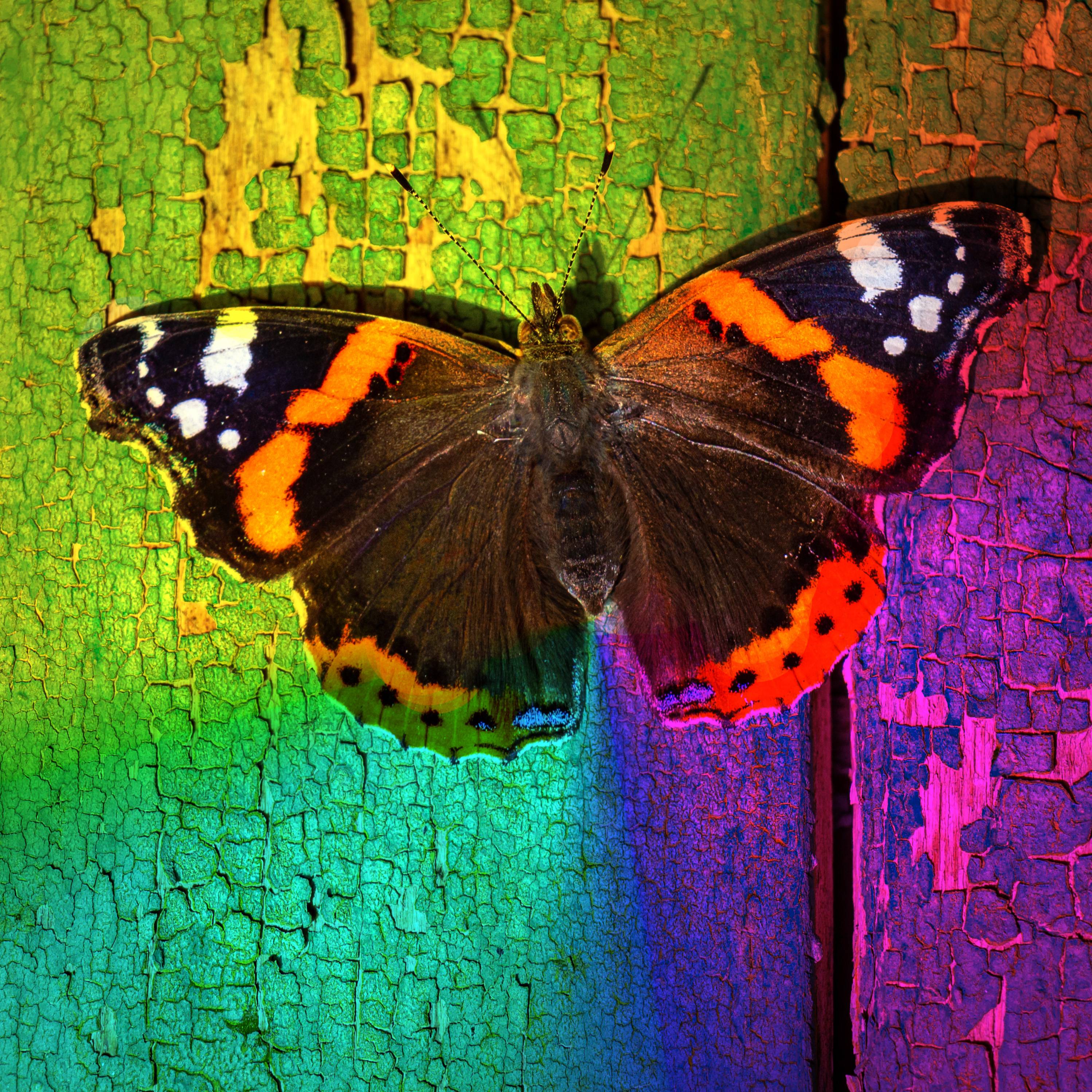 Иконка канала Релакс • Онлайн 🍀