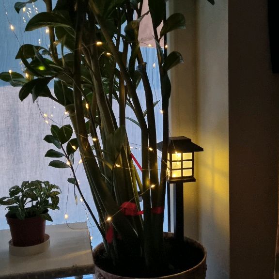 Иконка канала увлечения и хобби