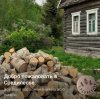 Иконка канала Добро пожаловать в Средилесье.