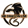 Иконка канала MR DRAGON LIVE