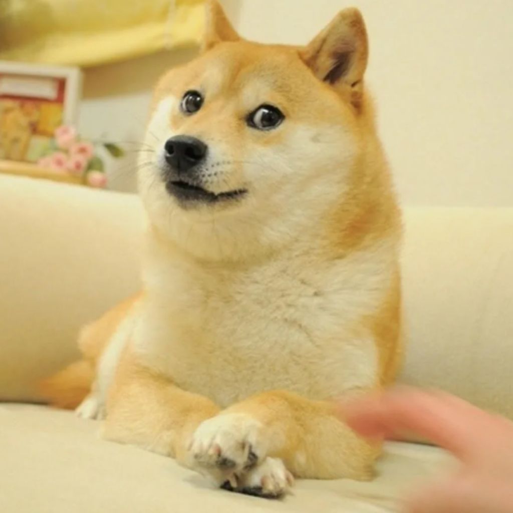 Иконка канала Котята? и щенята?